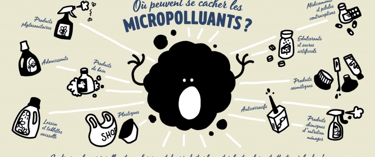 Les micropolluants domestiques | GE.CH – République et canton de Genève