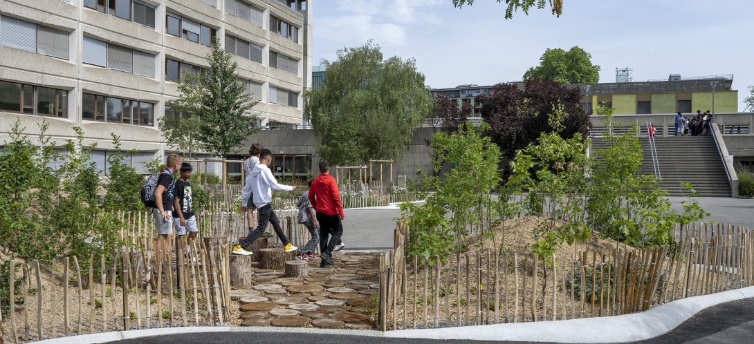 Cool City au cycle d'orientation de Sécheron | ge.ch