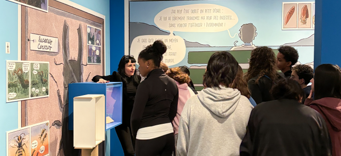 Département de l'instruction publique, de la formation et de la ...